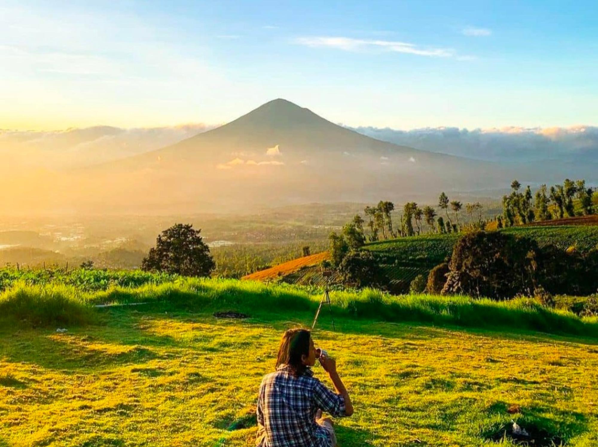 Buffalo Hill Garut: Harga Tiket Masuk dan Daya Tarik