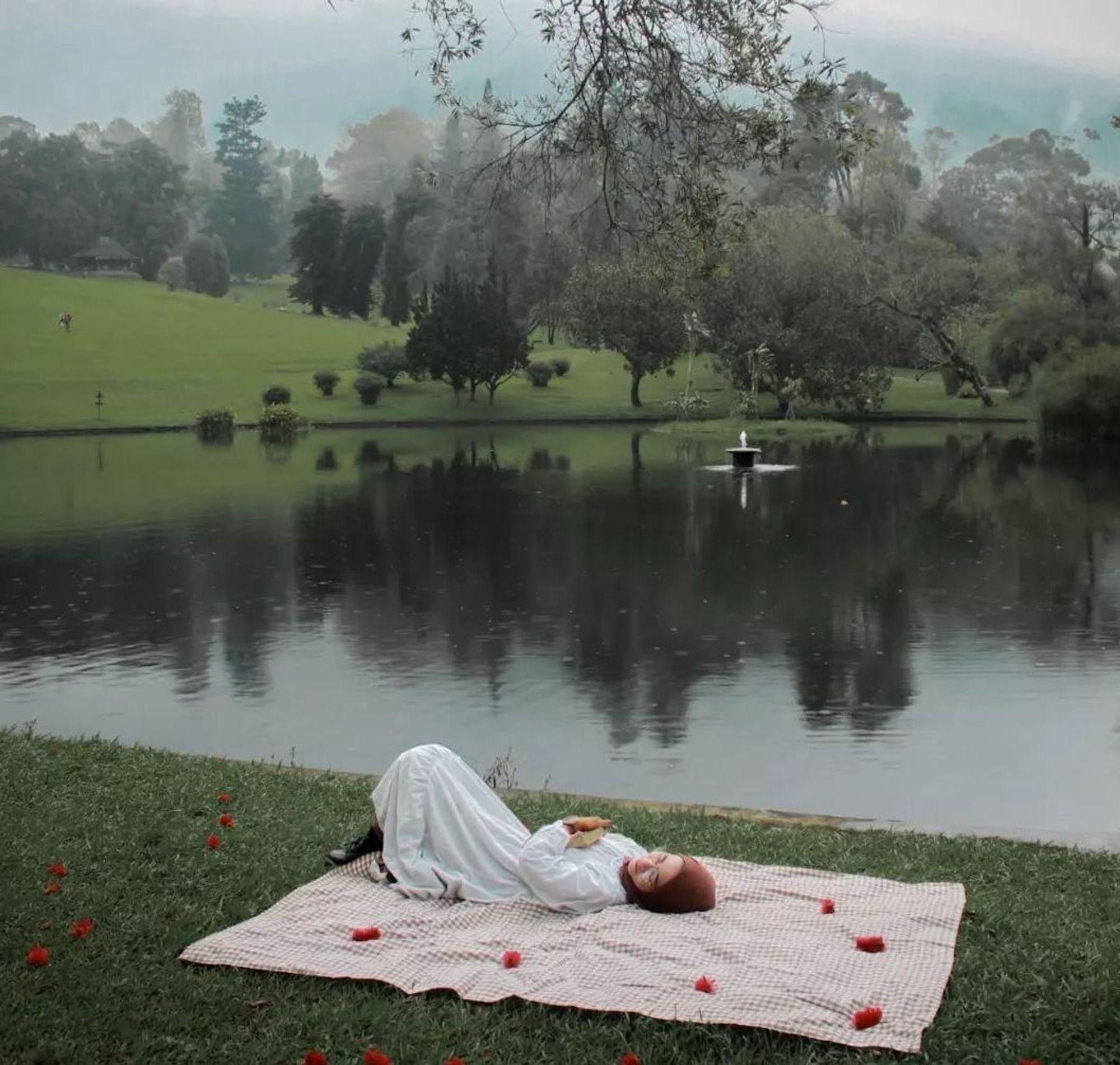 10 Potret Keindahan Kebun Raya Cibodas yang Mempesona