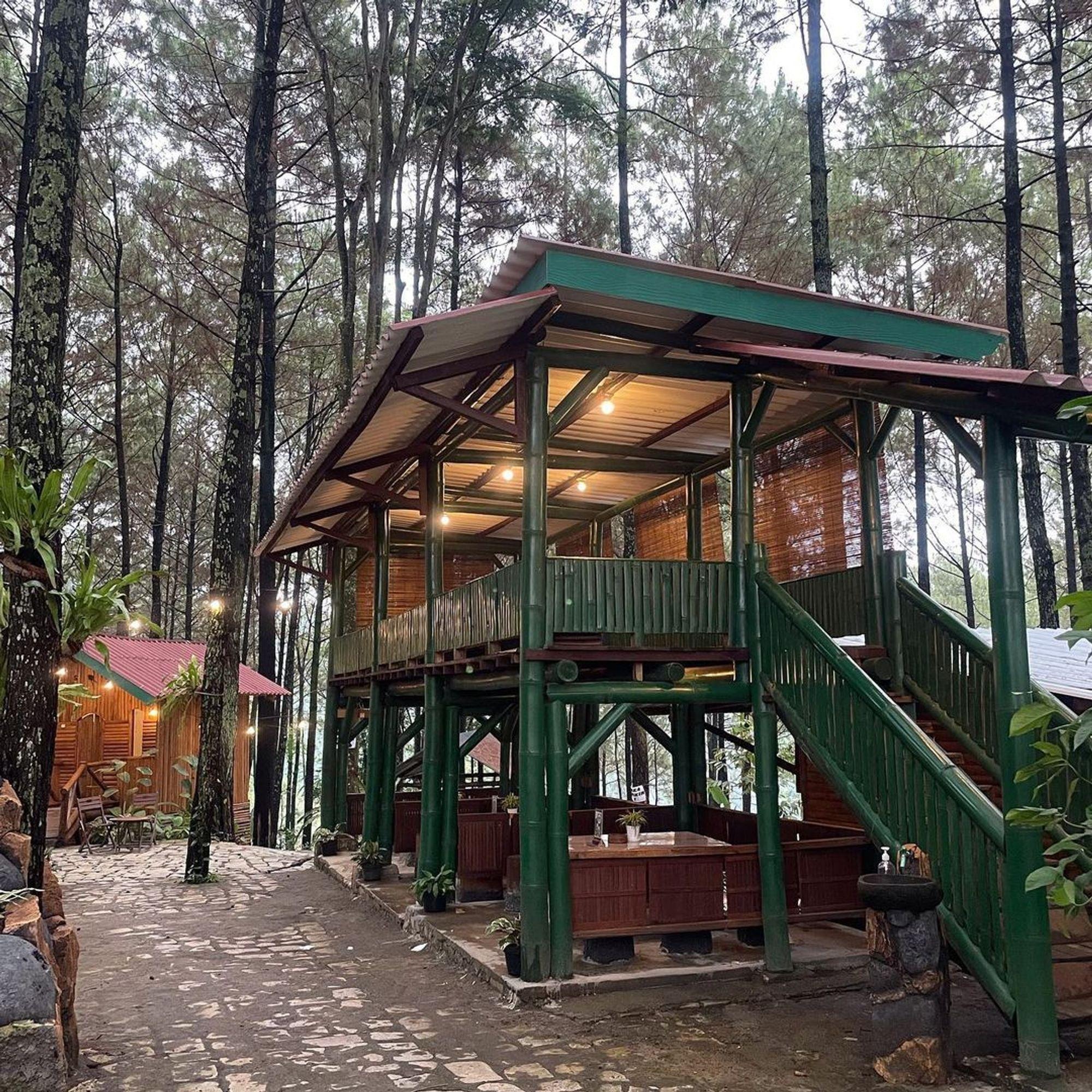 The Charm of Samiremen Cafe in Trawas Pine Forest