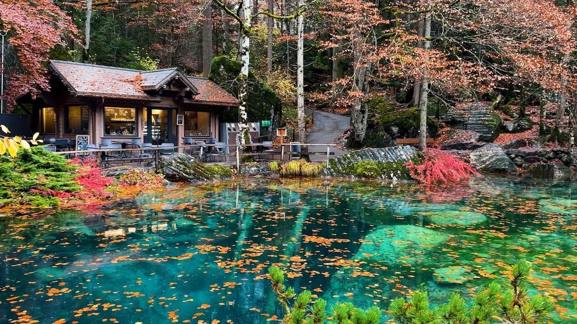 Lake Blausee: Shades of Blue in Swiss Nature