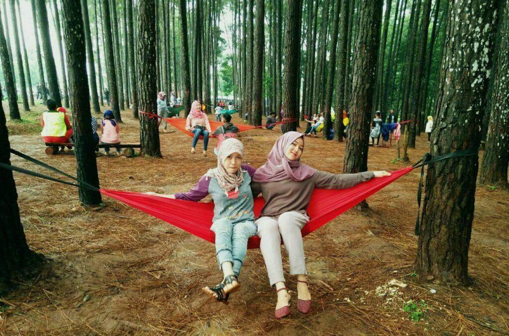 Pokland Tourism Forest: Natural Charm in Cianjur