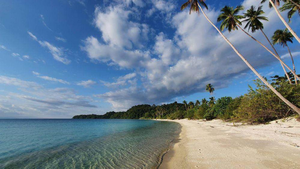 The Underwater Beauty of Pompon Beach in Banggai Islands