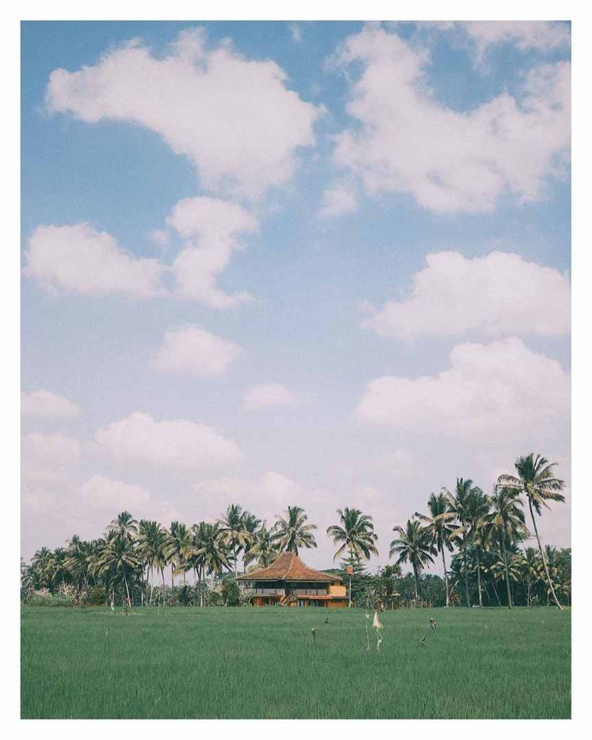 Huma Cafe by Goldmine: The Best Work-Friendly Cafes in Bali