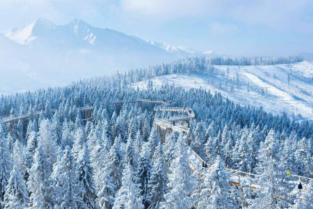 6 Interesting Winter Attractions in Bachledka, Slovakia