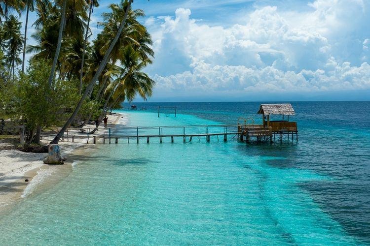 The Underwater Beauty of Pompon Beach in Banggai Islands