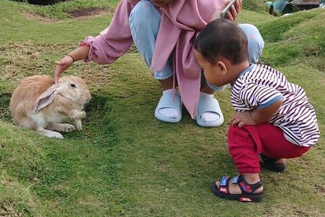 Semarang Rabbit Park: Ticket Prices, Attractions, Opening Hours